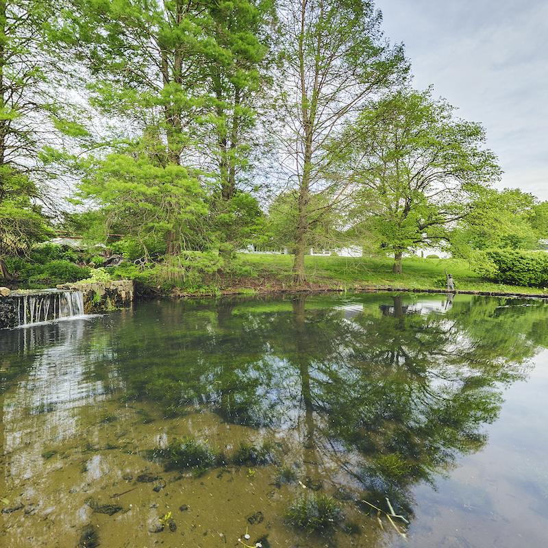 Please enable Javascript!