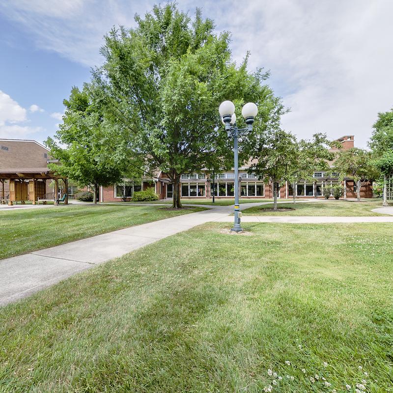 Please enable Javascript!