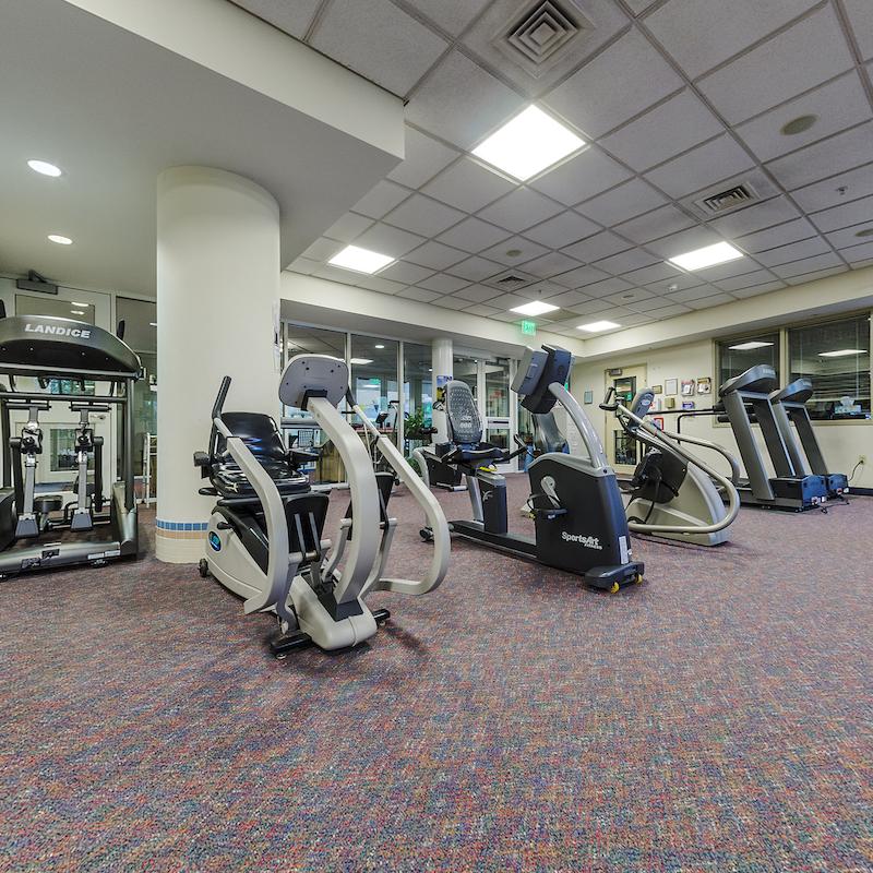 Please enable Javascript!