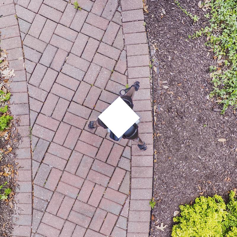 Please enable Javascript!